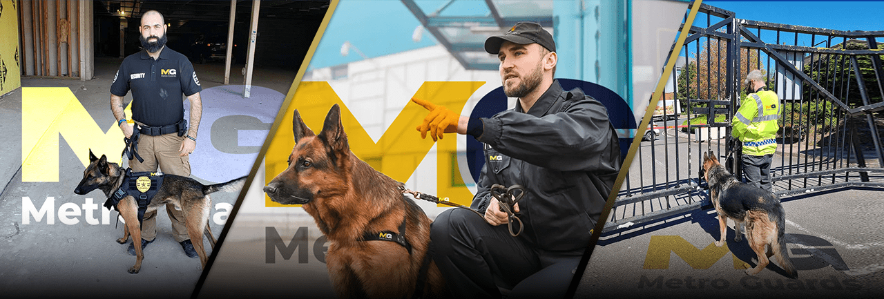 K9 Security Guards in Melbourne - Hire Security Company